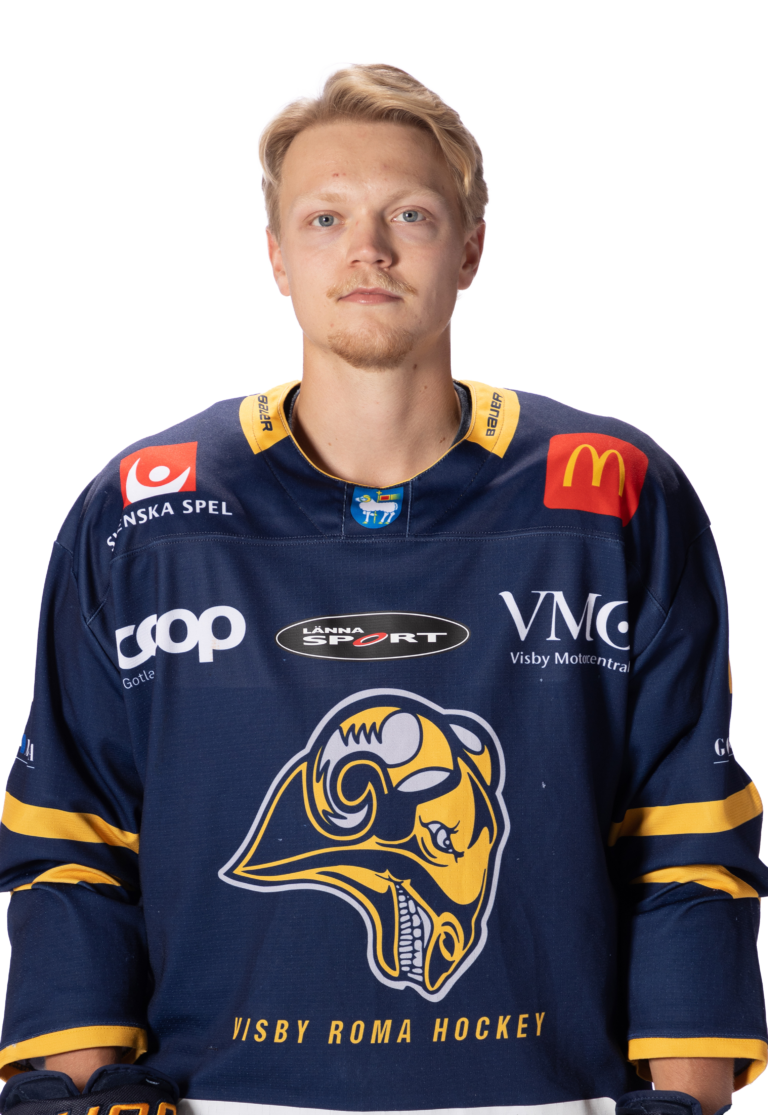 Trupp - Visby Roma Hockey