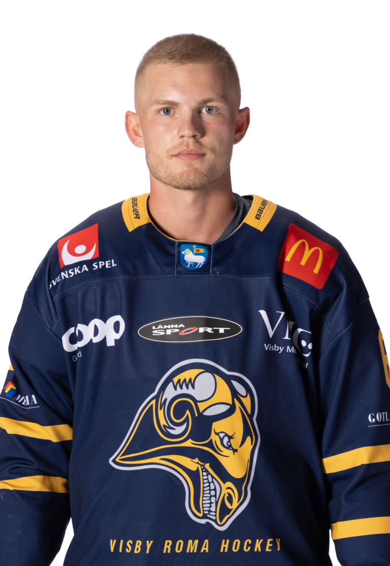 Trupp - Visby Roma Hockey