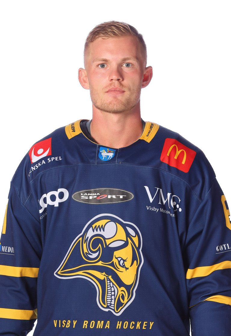 Trupp - Visby Roma Hockey
